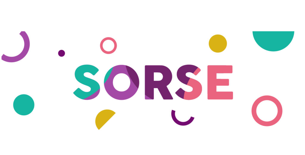 SORSE 2020/21 has come to an end - Society of Research Software Engineering